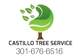 Tree Services Frederick, MD | Castillo Tree Service LLC