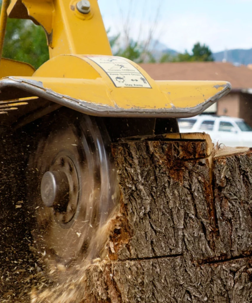 Tree Services Frederick, MD | Castillo Tree Service LLC